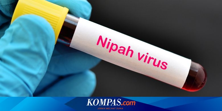 Understanding Nipah Virus: Symptoms, Transmission, and Prevention ...