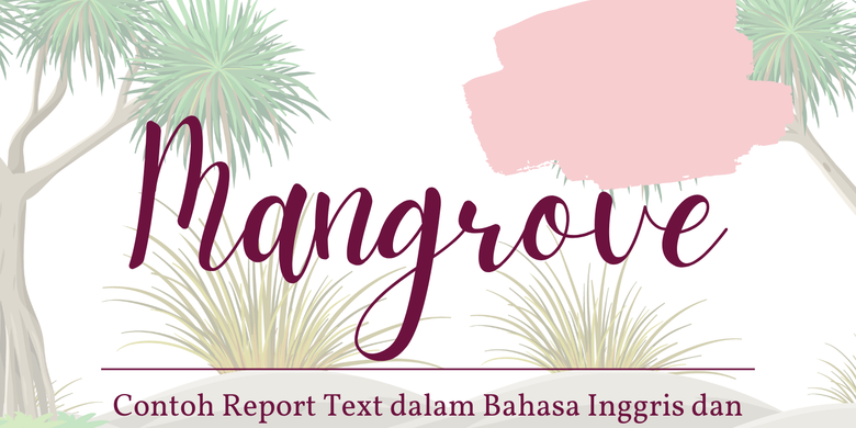 Contoh Report Text tentang Mangrove Trees dan Terjemahannya