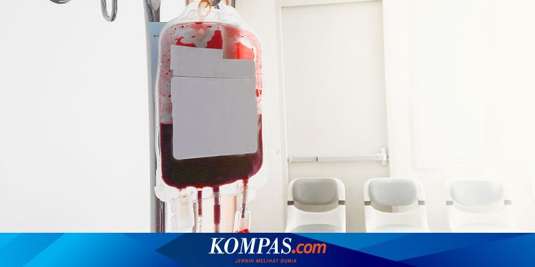 PMI Imbau Masyarakat Sehat untuk Kembali Donasi Darah, Simak Caranya