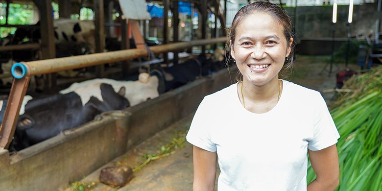 Peternakan Sapi Perah Berkelanjutan, Kunci Hasilkan Susu Sapi Segar ...