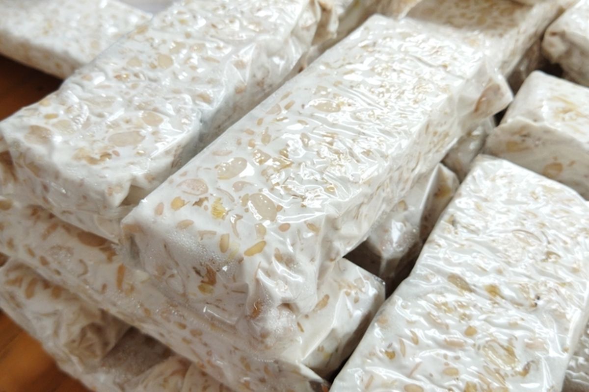 3 Penyebab Tempe Gagal, Kedelai Masih Kurang Bersih