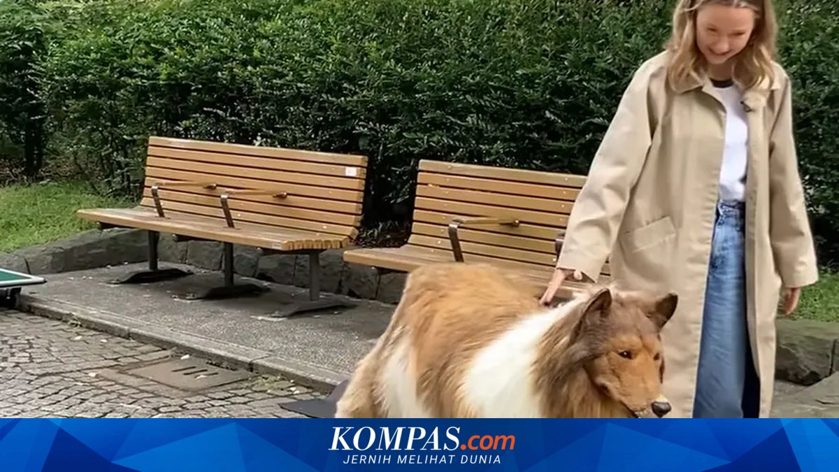 Mengenal Toco, Pria Jepang yang Habiskan Rp 213 Juta demi Jadi Anjing