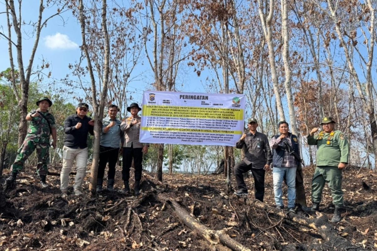 Jelang Pacu Jalur, Aparat Gabungan Intensifkan Patroli Karhutla di ...