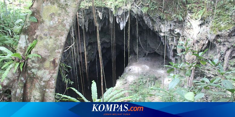 Goa Jepang, Wisata Sejarah di Kabupaten Biak Numfor