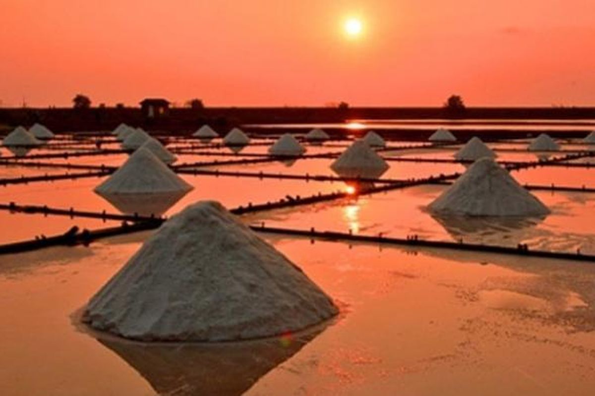 Pemerintah Siap Buka Ribuan Hektar Ladang Garam di NTT dan Sulawesi