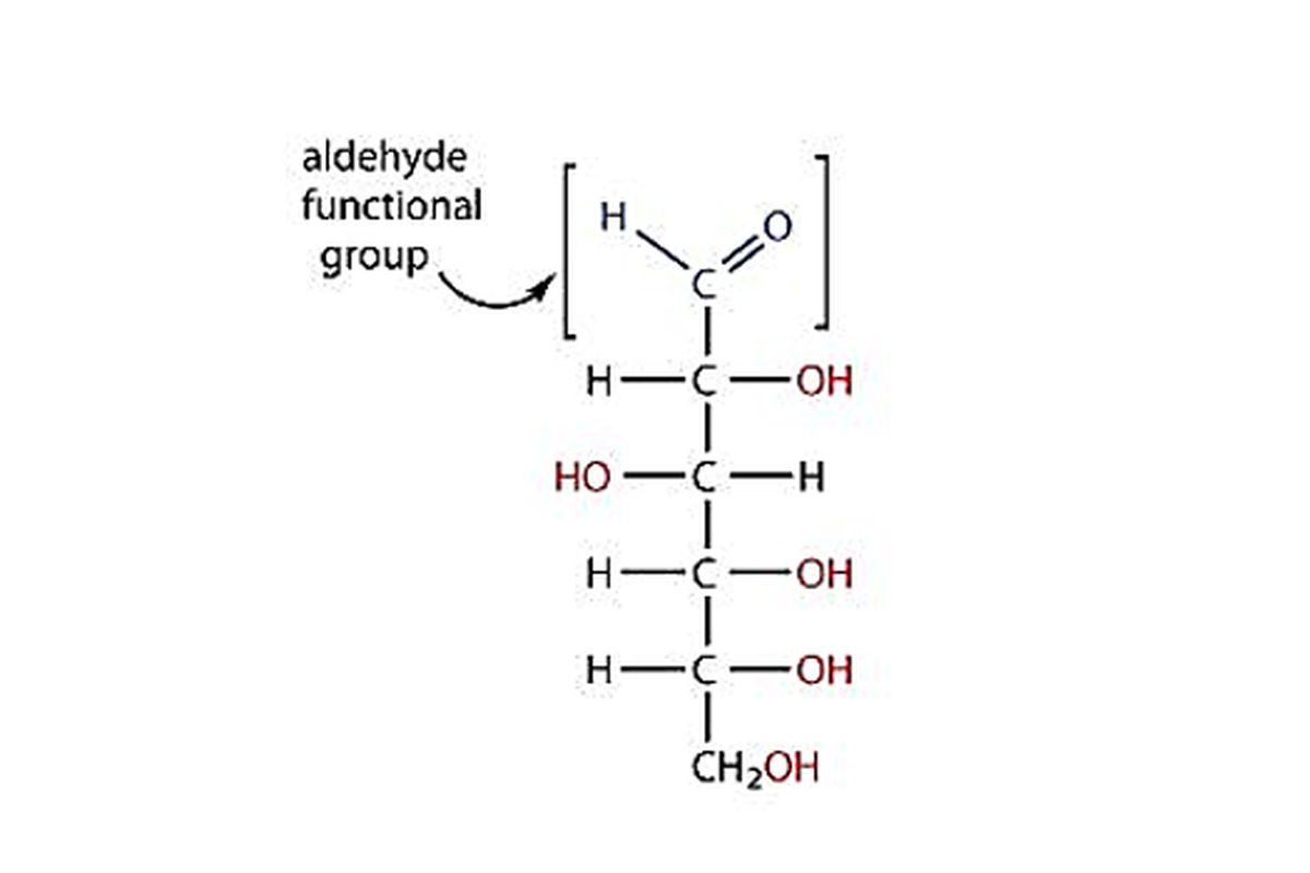 Aldoheksosa: Pengertian dan Contohnya