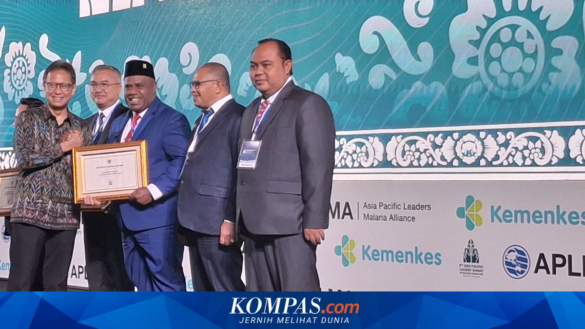 Wanti-wanti Negera Tetangga soal Penularan Malaria, Menkes: Nyamuk Tak ...