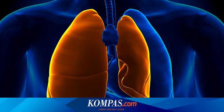 Penyakit Pneumotoraks (Paru-Paru Kolaps) - Gejala, Penyebab, Pengobatan ...