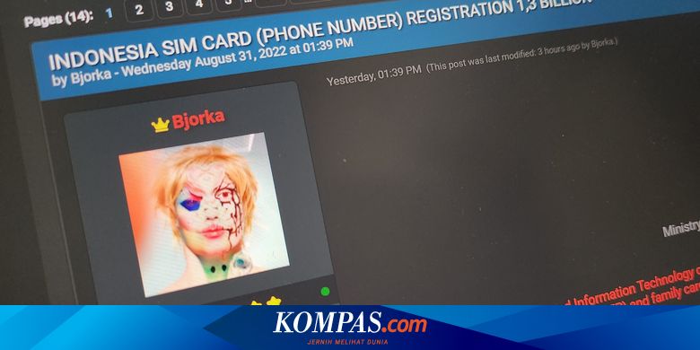 4 Dugaan Kebocoran Data yang Dibeber "Hacker" Bjorka