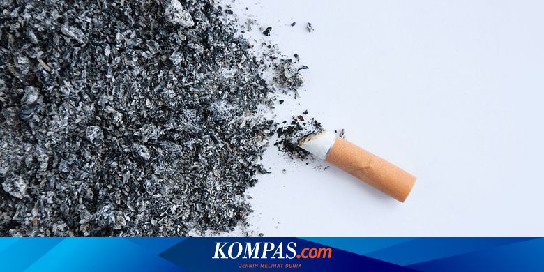 Manfaat Rokok pada Tanaman dan Cara Mengaplikasikannya