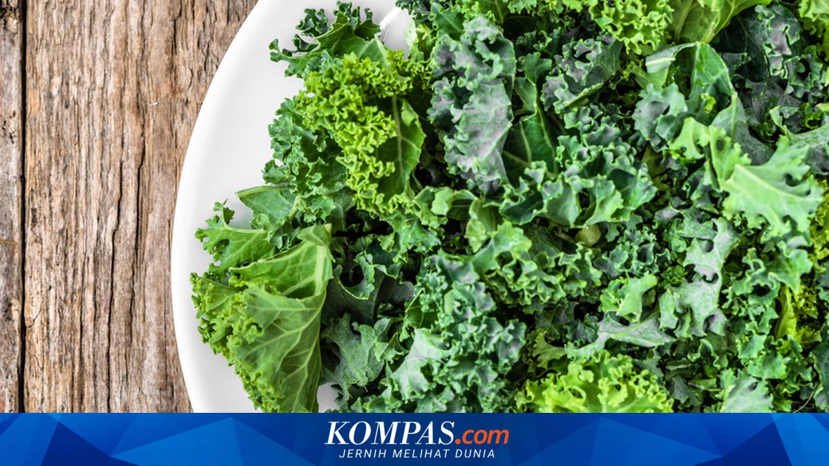 Mengenal 10 Jenis Kale ''Si Ratu Sayuran" yang Bisa Diolah Jadi ...
