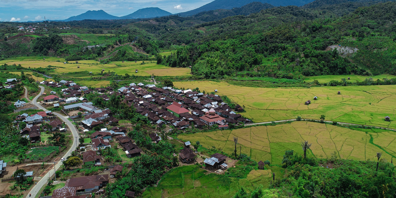 Pengertian Desa dan Klasifikasi Menurut Jumlah Penduduknya