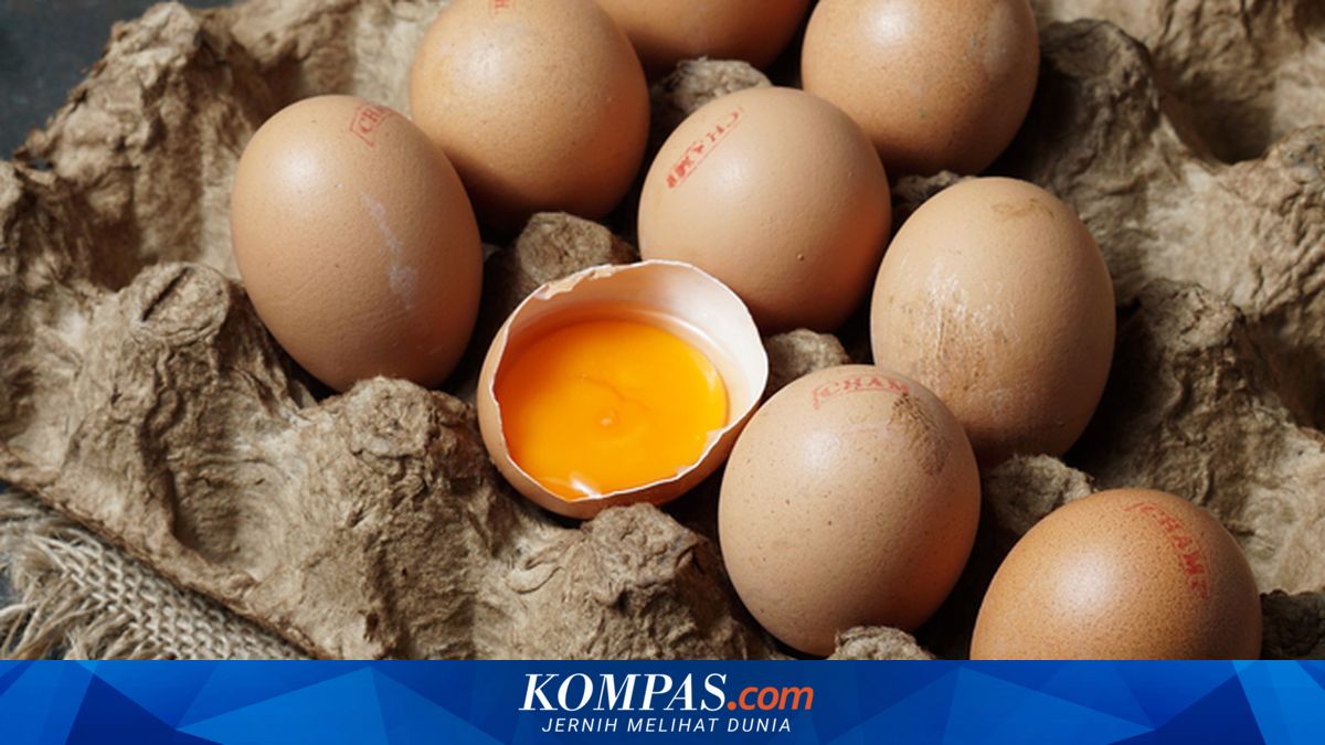 Benarkah Nutrisi Telur Omega 3 Lebih Banyak Dibanding Telur Biasa?