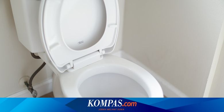 Ini Lho, Kriteria Jamban yang Sehat untuk Hunian