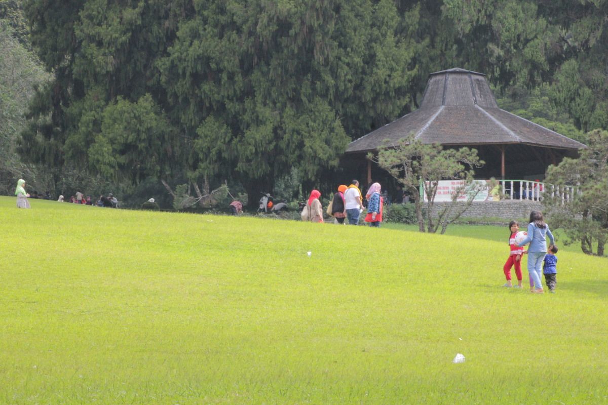 Kunjungan ke Kebun Raya Cibodas Turun 30 Persen akibat Bayar Karcis ...