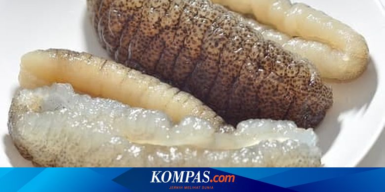 3 Manfaat Haisom, Olahan Teripang Kaya Gizi yang Disajikan saat Imlek