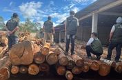 219 Kayu Log Ilegal Tanpa Dokumen Diamankan di Sumut, Ini Temuan Kemenhut