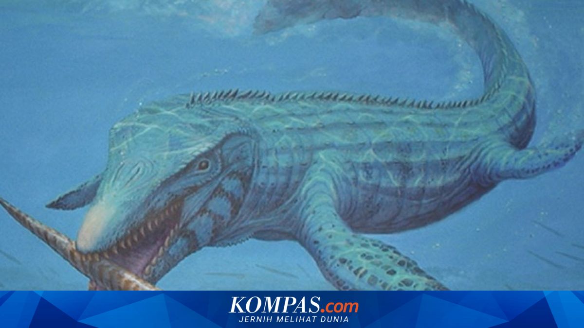 Mosasaurus Baru Ditemukan di Maroko, Panjangnya Lebih dari 9 Meter