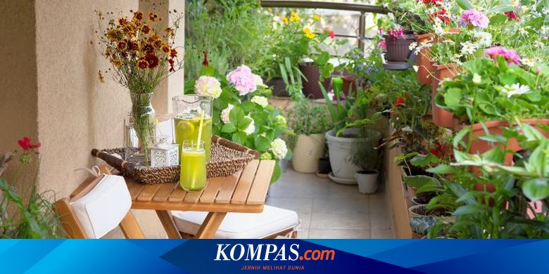 Tips dan Trik Berkebun di Apartemen bagi Pemula
