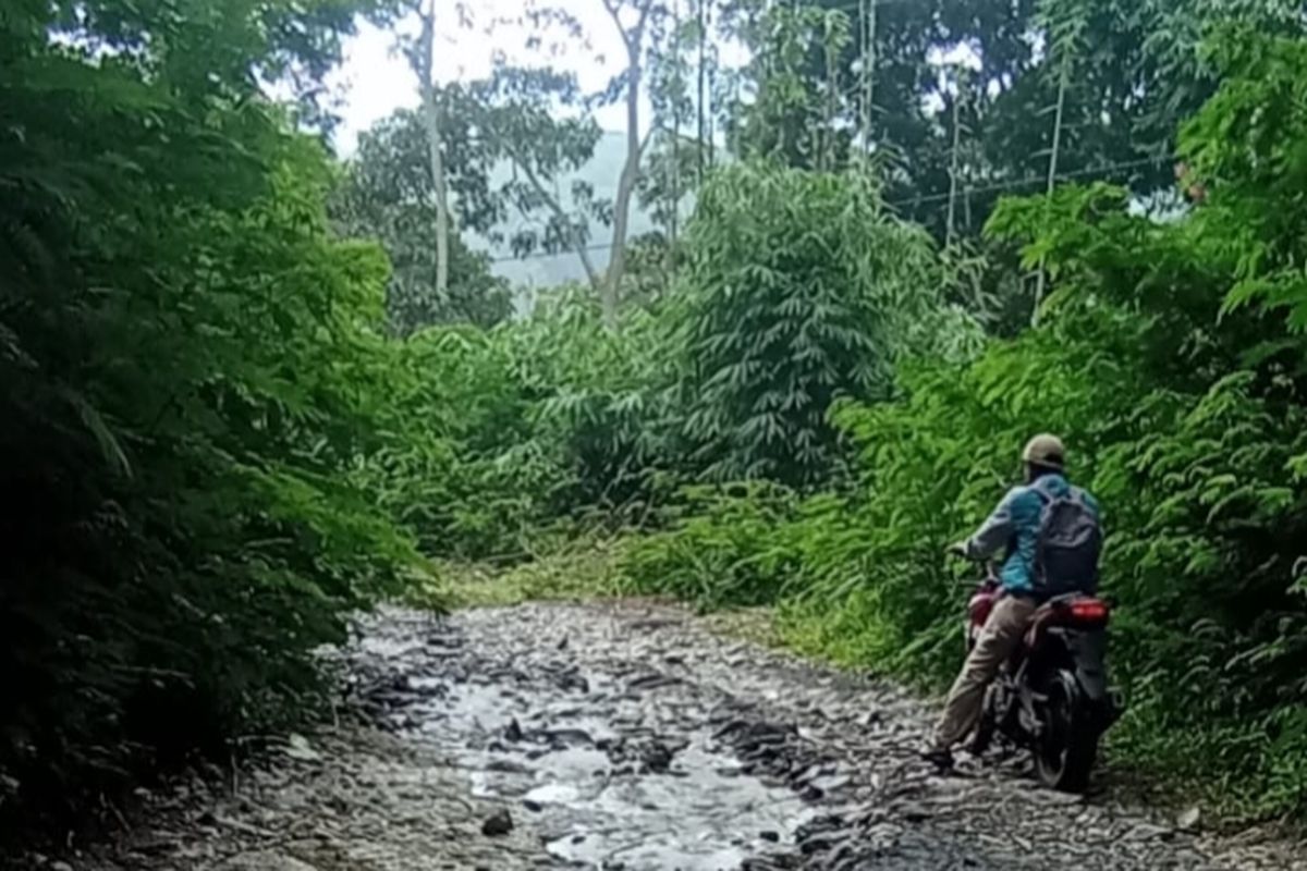 Jalan Provinsi di Manggarai Timur seperti Kali Mati, Warga: Pak ...