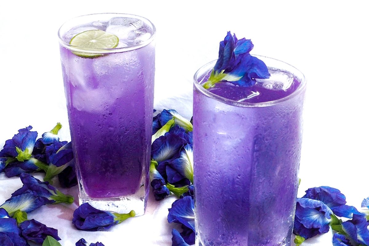 Mengenal Bunga Telang, dari Cara Menanam hingga Manfaat bagi Kesehatan