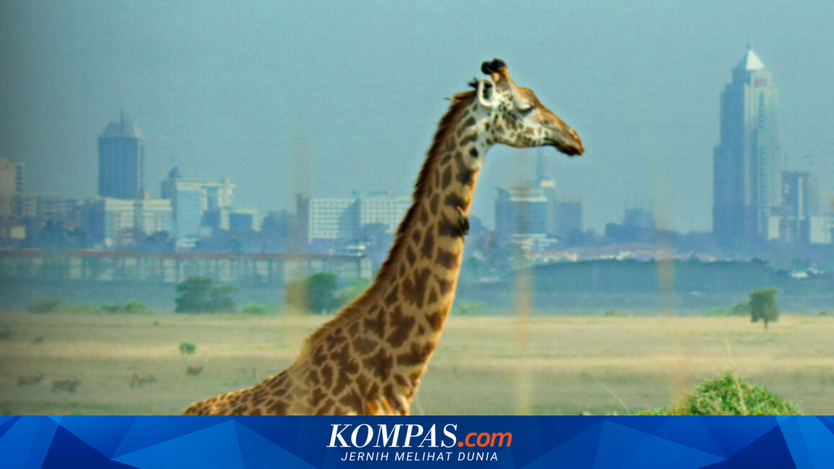 Sinopsis Breaking Boundaries: The Science of Our Planet, Tayang di Netflix