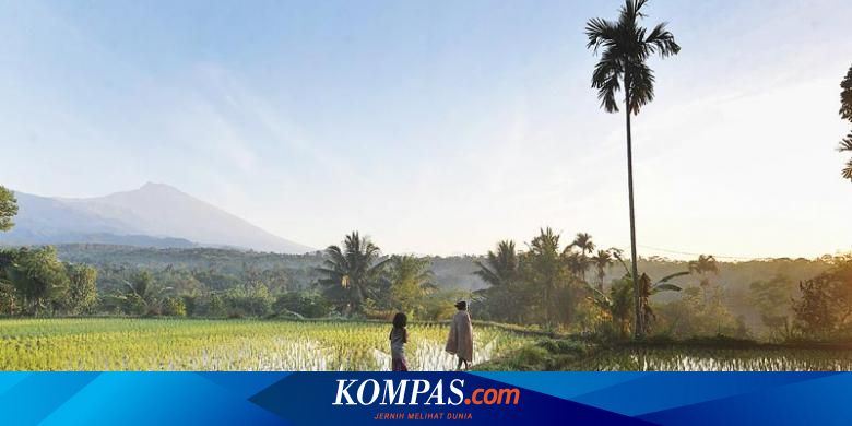 Mengenal Desa Tetebatu di NTB, Keindahannya Diakui Dunia