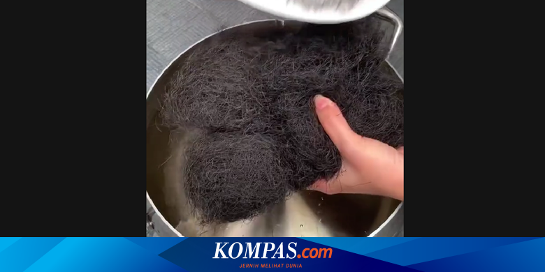 Mengenal Fat Choy, Makanan yang Memiliki Bentuk Mirip Rambut