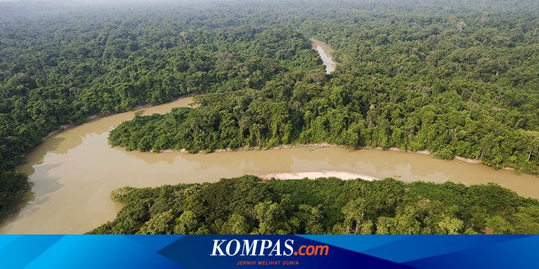 Hutan Amazon Diserbu Rating Bintang 1 di Google Maps oleh Netizen Indonesia
