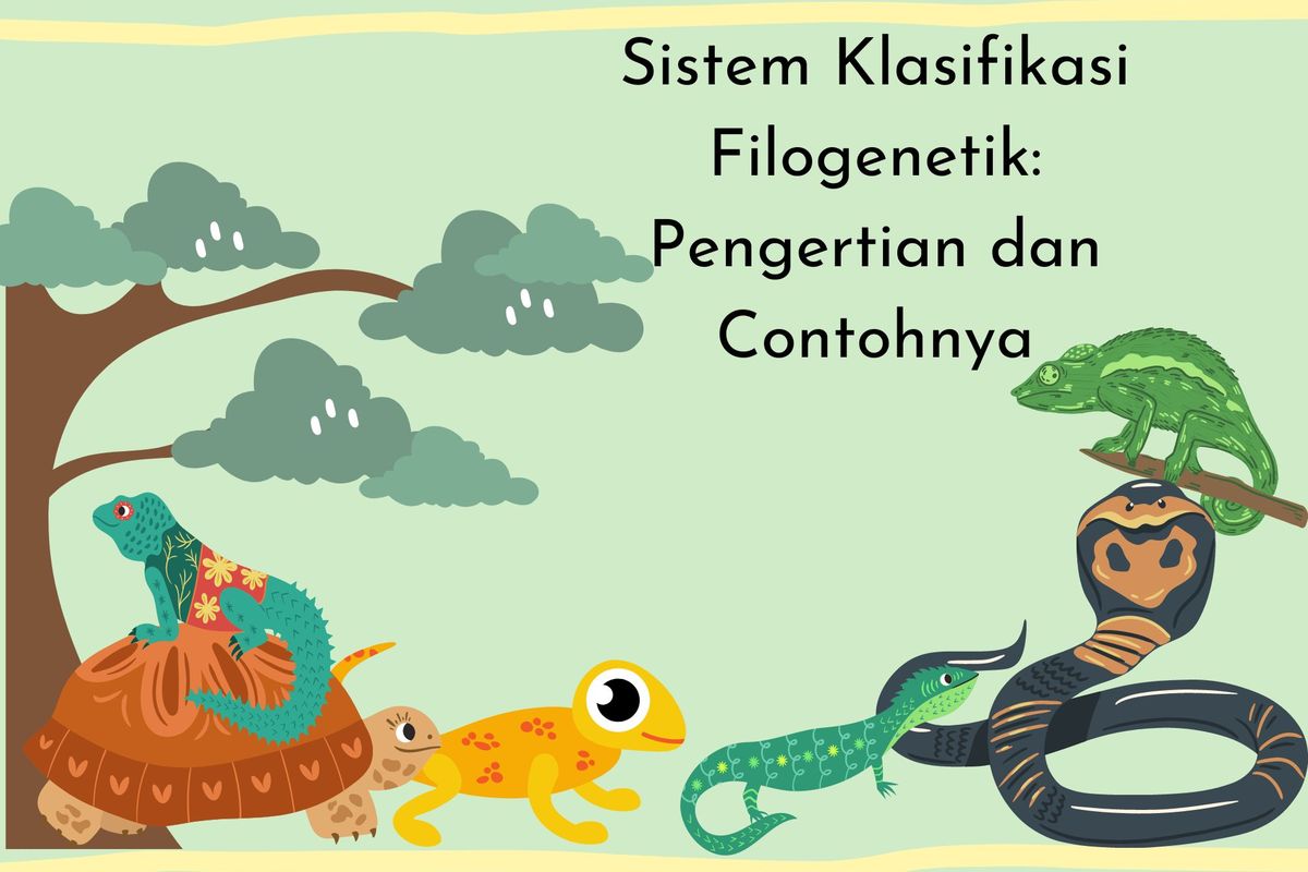 Sistem Klasifikasi Filogenetik: Pengertian dan Contohnya