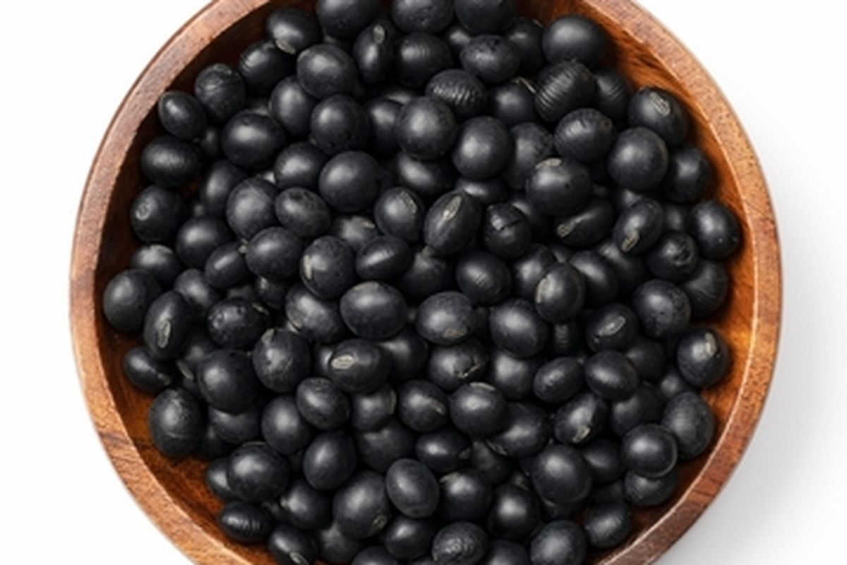 Riwayat Kedelai Hitam, Calon Mutiara Hitam Pertanian Indonesia