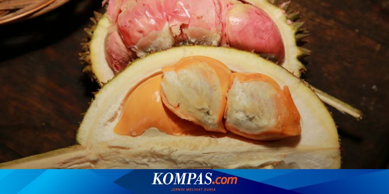 Ini Durian di Indonesia yang Bakal Ngehits 5 Tahun ke Depan