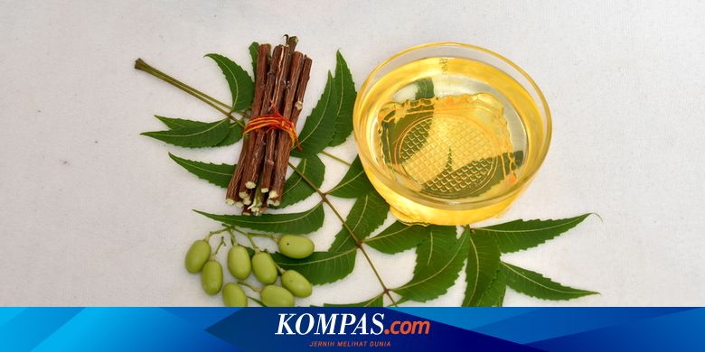 Manfaat dan Cara Mengaplikasikan Minyak Nimba pada Tanaman