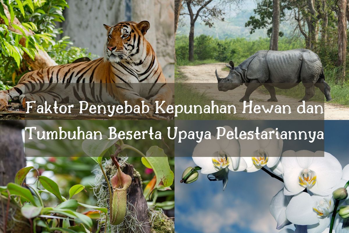 Faktor Penyebab Kepunahan Hewan dan Tumbuhan beserta Upaya Pelestariannya