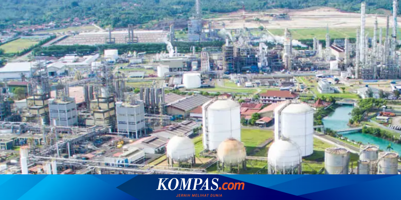 Fakta IPO CDIA: Harga Saham, Jadwal, dan Penjamin Emisi Efek