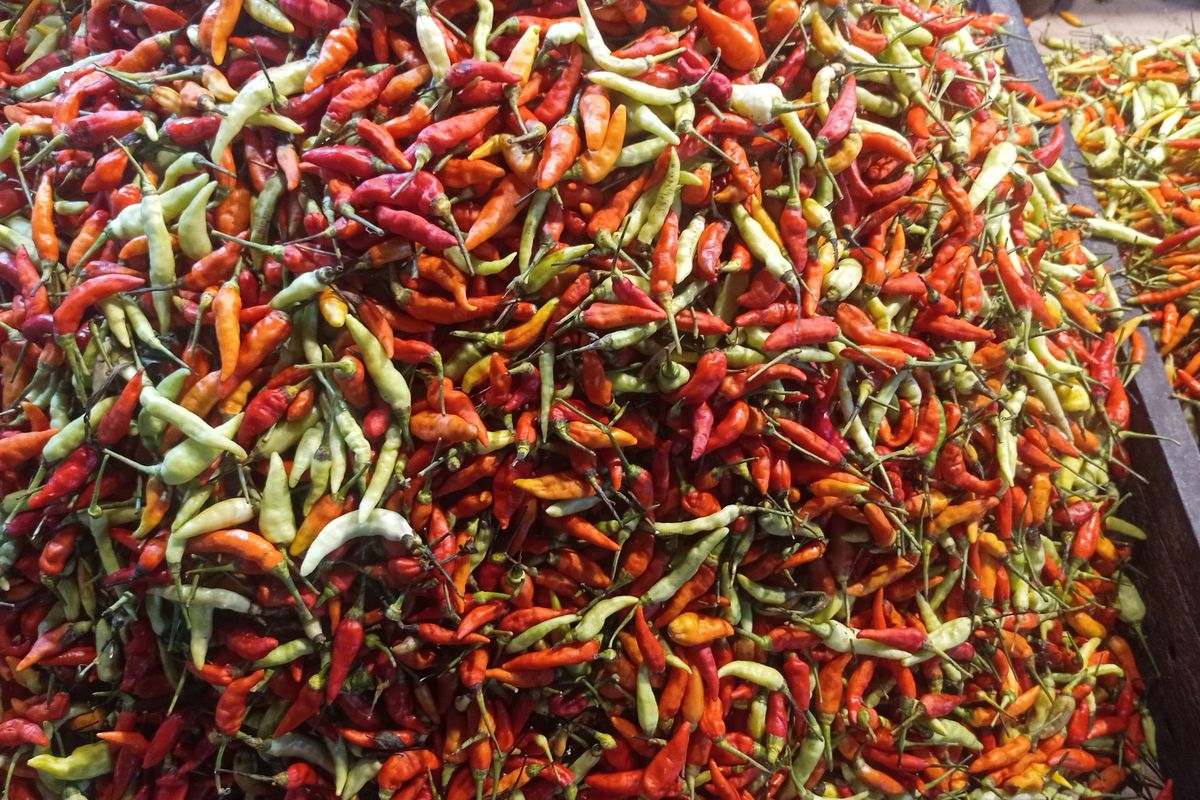 Dari Rp. 180.000 Jadi Rp 100.000 per Kilogram, Kenapa Harga Cabai di Samarinda Turun?