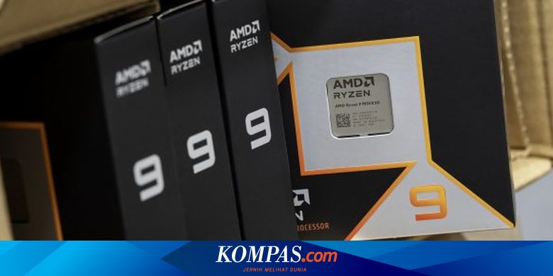 AMD Ryzen 9 9900X3D dan Ryzen 9 9900X3D Resmi, CPU "Gamer" dengan ...