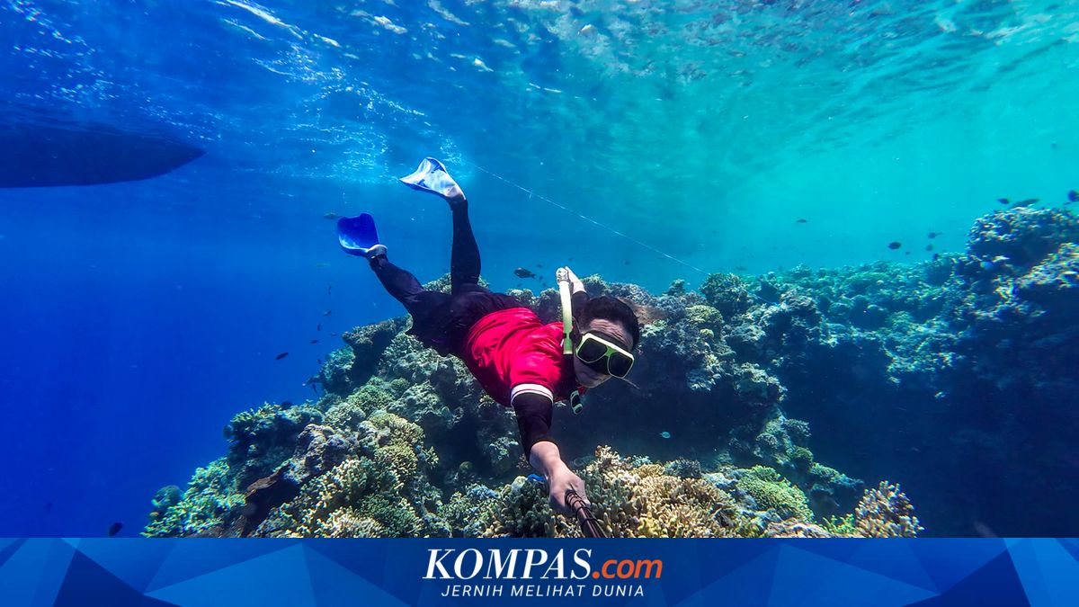 7 Panduan Snorkeling untuk Pemula, Jangan Snorkeling Sendiri