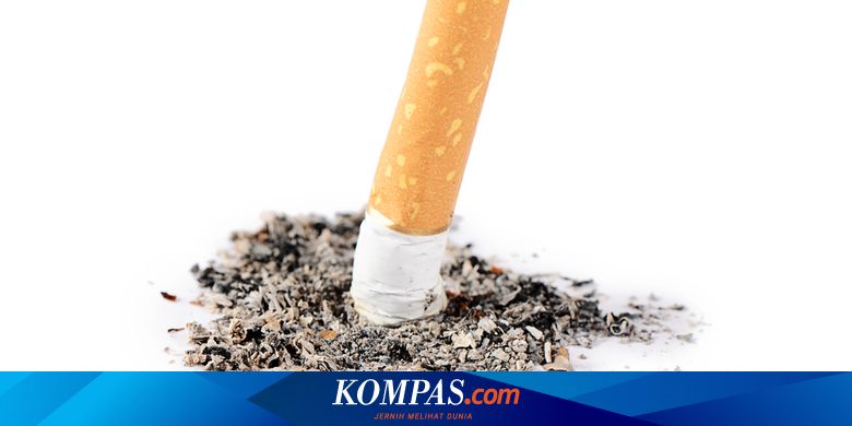 Apakah Abu Rokok Bermanfaat untuk Tanaman? Ini Jawabannya