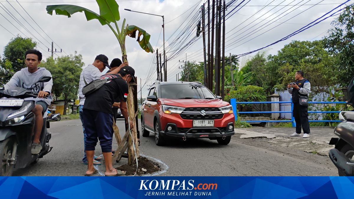 Pasca Kecelakaan Maut, Warga Sadang Sidoarjo Tanam Pohon Pisang di ...