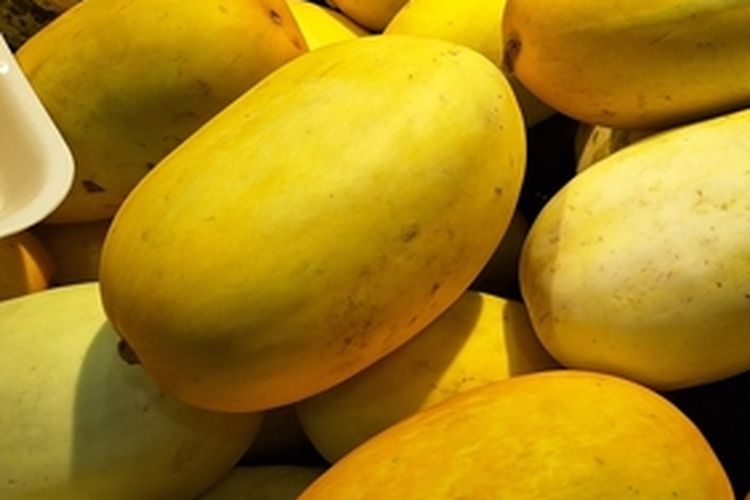 Cara Menanam Timun Suri, Buah yang Banyak Ditemukan Saat Ramadhan