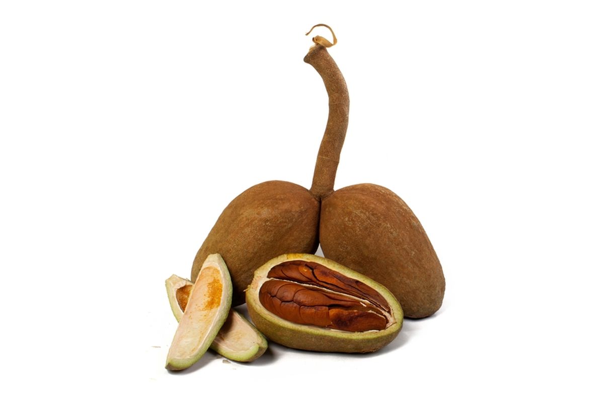 Khasiat Biji Mahoni, Obat Tradisional yang Kaya Antioksidan