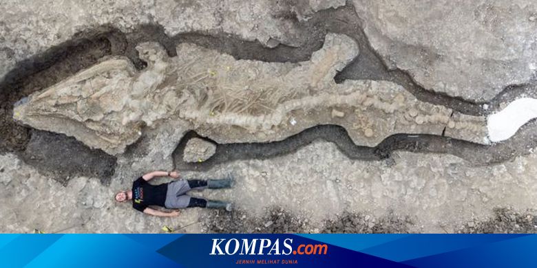 Fosil Naga Laut Ditemukan di Dasar Waduk di Inggris, Apa Itu ...