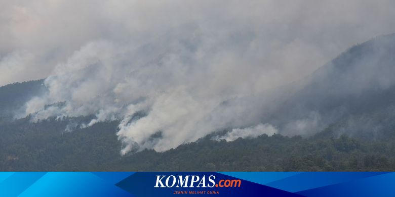 Update Kebakaran Hutan Gunung Lawu Di Karanganyar Luas 8 Hektar