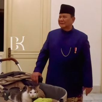 Tips Membeli Stroller Kucing, Inspirasi dari Bobby Kucing Prabowo
