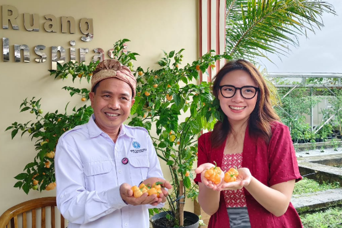 Nama YouTuber Magdalenaf Dijadikan Salah Satu Varietas Cabai Terpedas