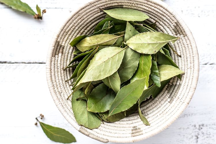 13 Penyakit yang Bisa Diatasi dengan Daun Salam, Apa Saja?