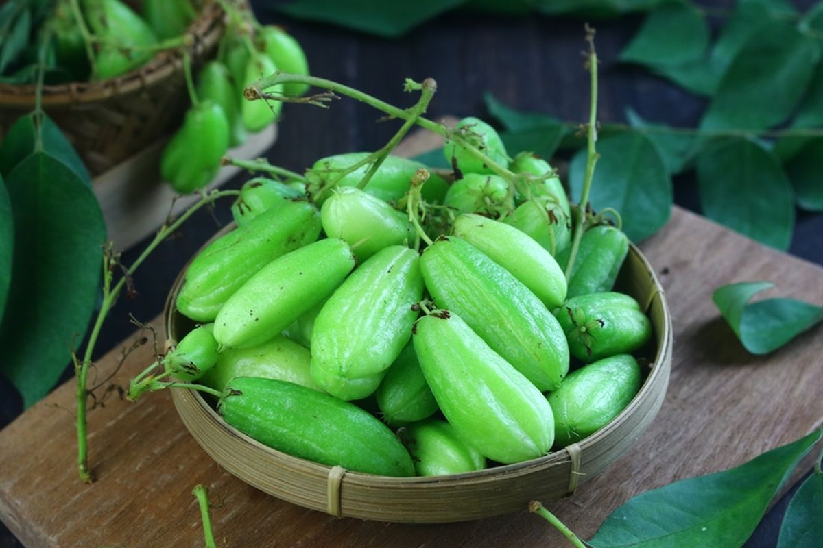 Belimbing Wuluh Bisa Cegah Penyakit Apa Saja? Berikut 5 Daftarnya