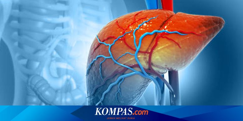 Hati Sehat dan Tidak Sehat Apa Bedanya? Ini Ulasannya...