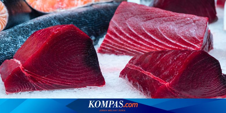 Panduan Lengkap Pilih Ikan Tuna yang Segar, Perhatikan Jenisnya!